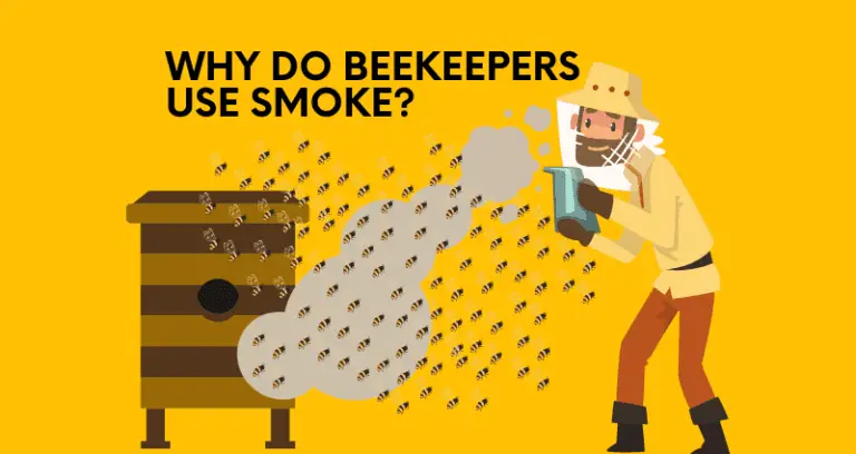 Why Do Beekeepers Use Smoke? And How To Use A Bee Smoker