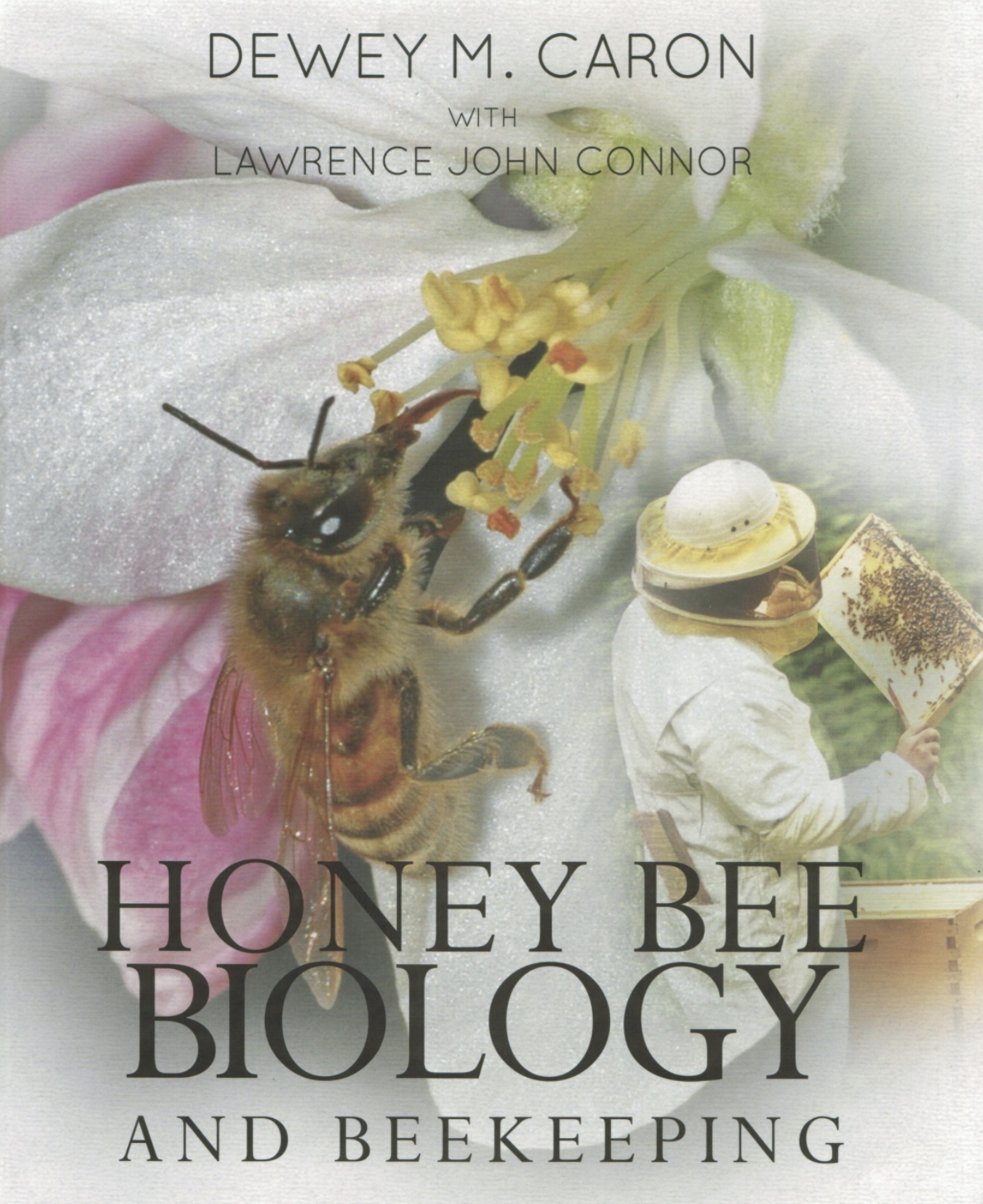 Best Books About Beekeeping: 10 Must-Read Books For Honey Farmers