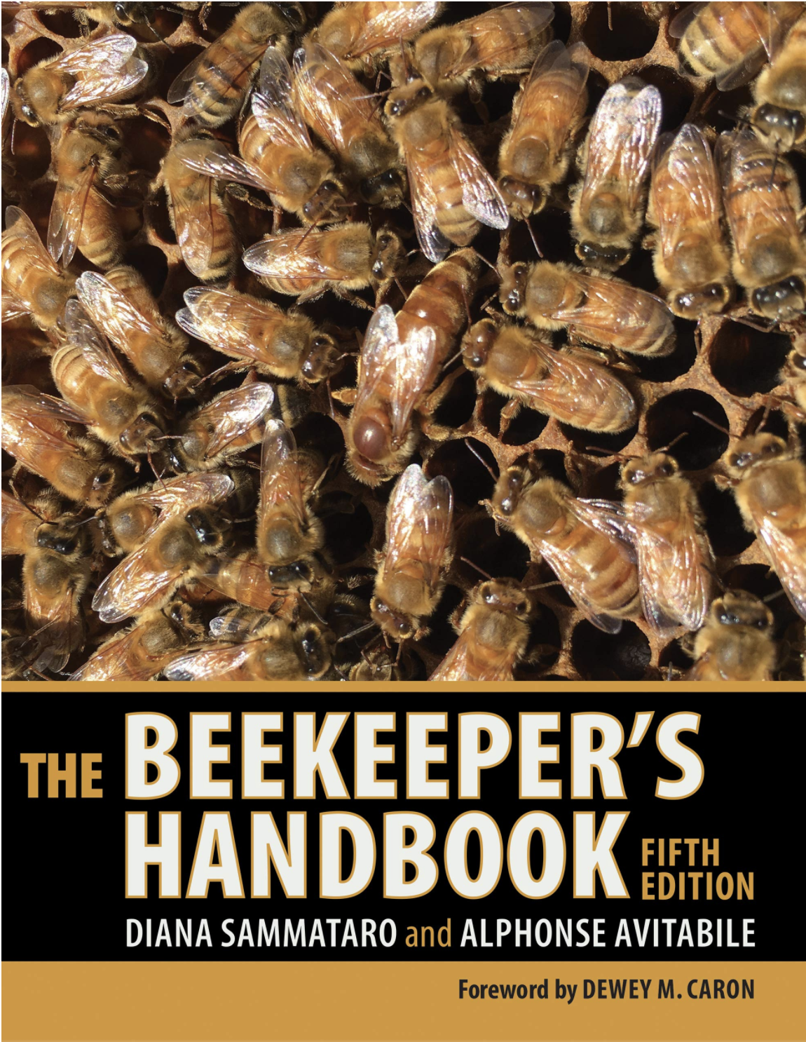 Best Books About Beekeeping: 10 Must-Read Books For Honey Farmers