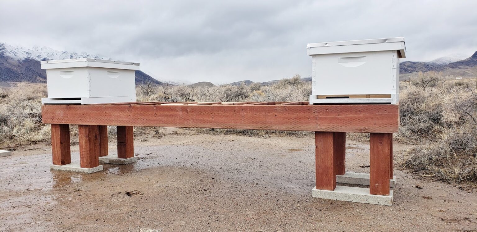 Beehive Stands: DIY & Pre-Built Options To Consider