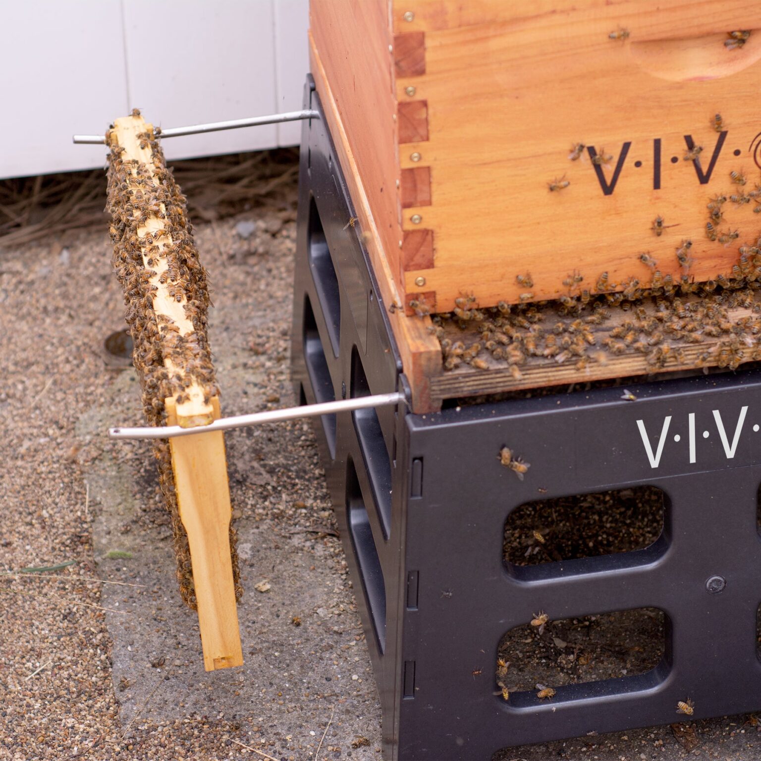 Beehive Stands: DIY & Pre-Built Options To Consider