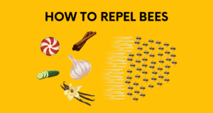 How To Keep Bees Away: Simple & Cheap Ways To Repel Bees