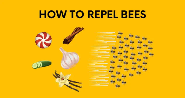 How To Keep Bees Away: Simple & Cheap Ways To Repel Bees