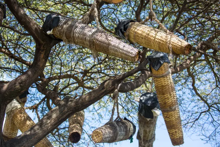 History of Beekeeping: Timeline & Notable Facts | Honeybee Hobbyist