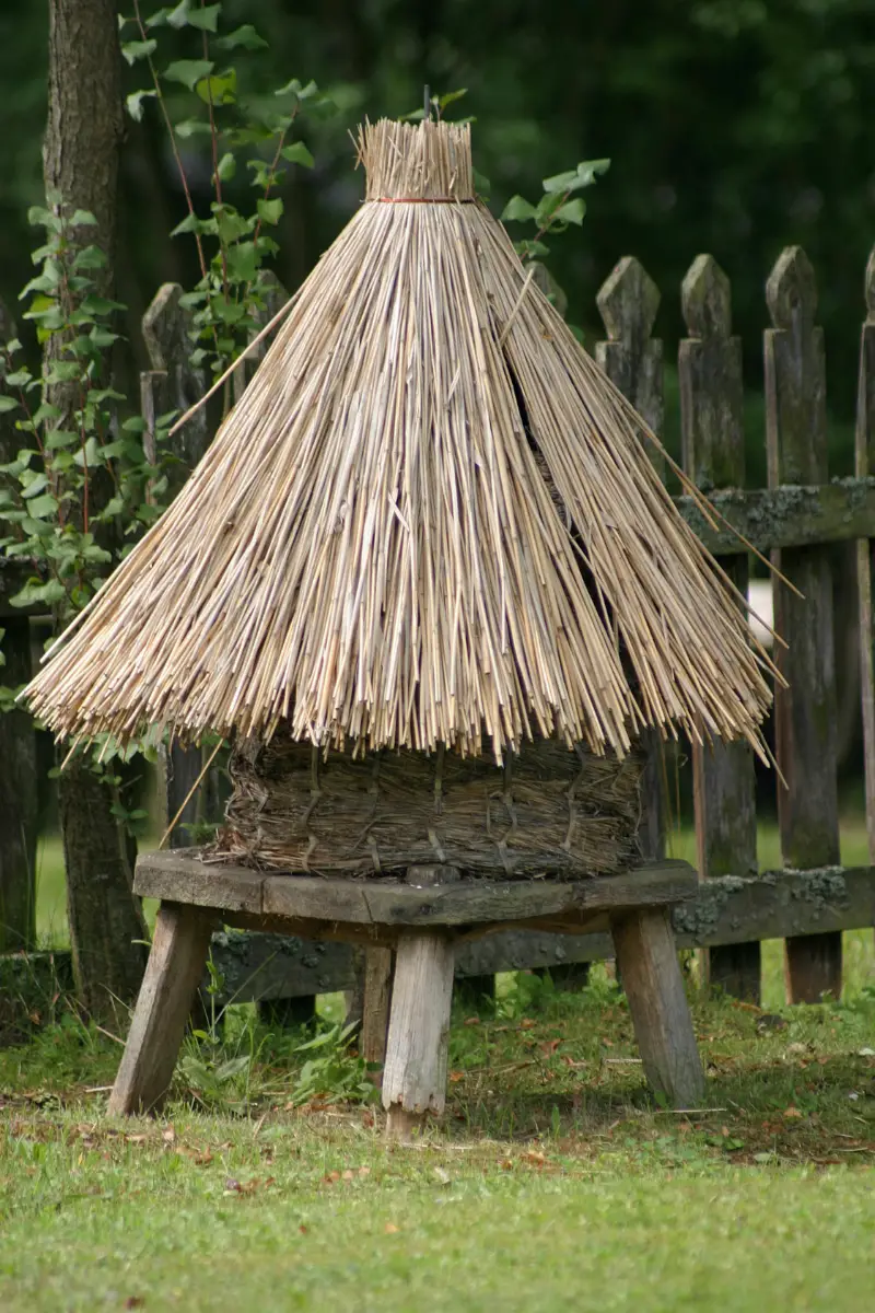 History of Beekeeping: Timeline & Notable Facts | Honeybee Hobbyist