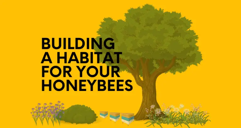 Honey Bee Habitats: How To Make A Honey Bee Habitat