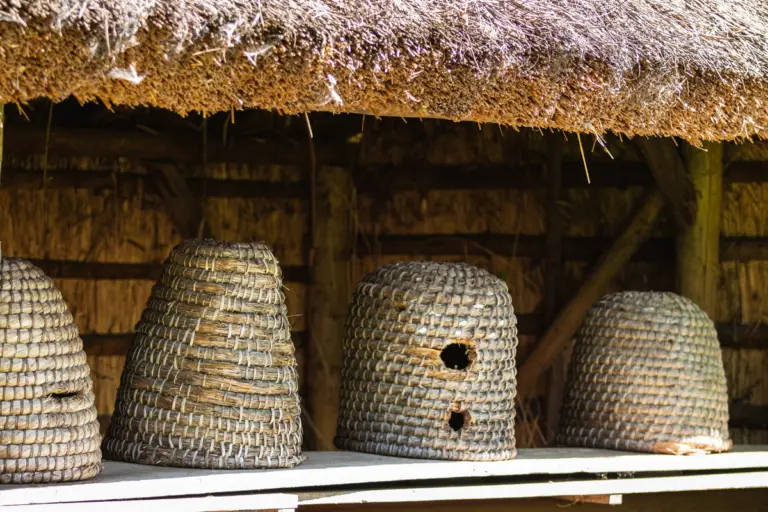 History of Beekeeping: Timeline & Notable Facts | Honeybee Hobbyist