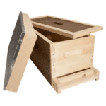 Bee Nucs: Everything You Need To Know About Nucleus Colonies