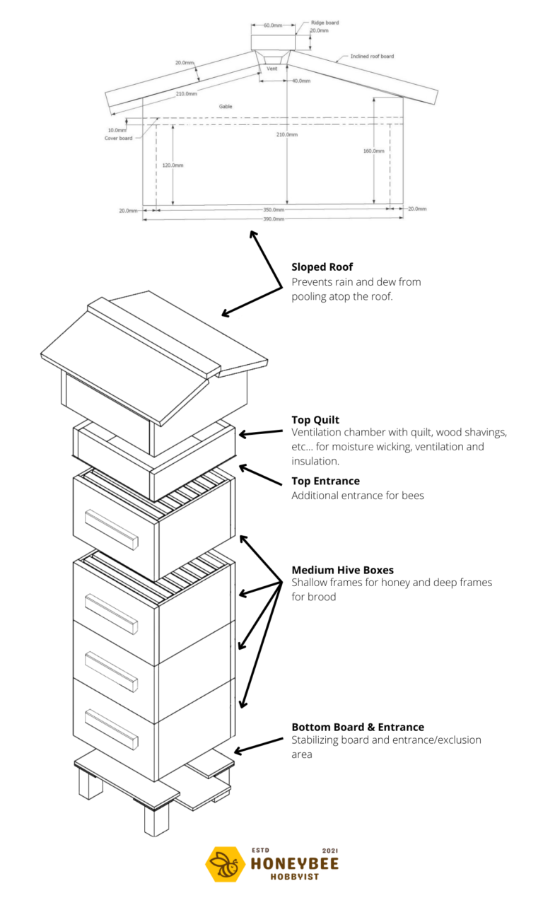 Warre Hive: History, Advantages, Disadvantages & More