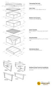 Langstroth Hive: History, Advantages, Disadvantages, and More