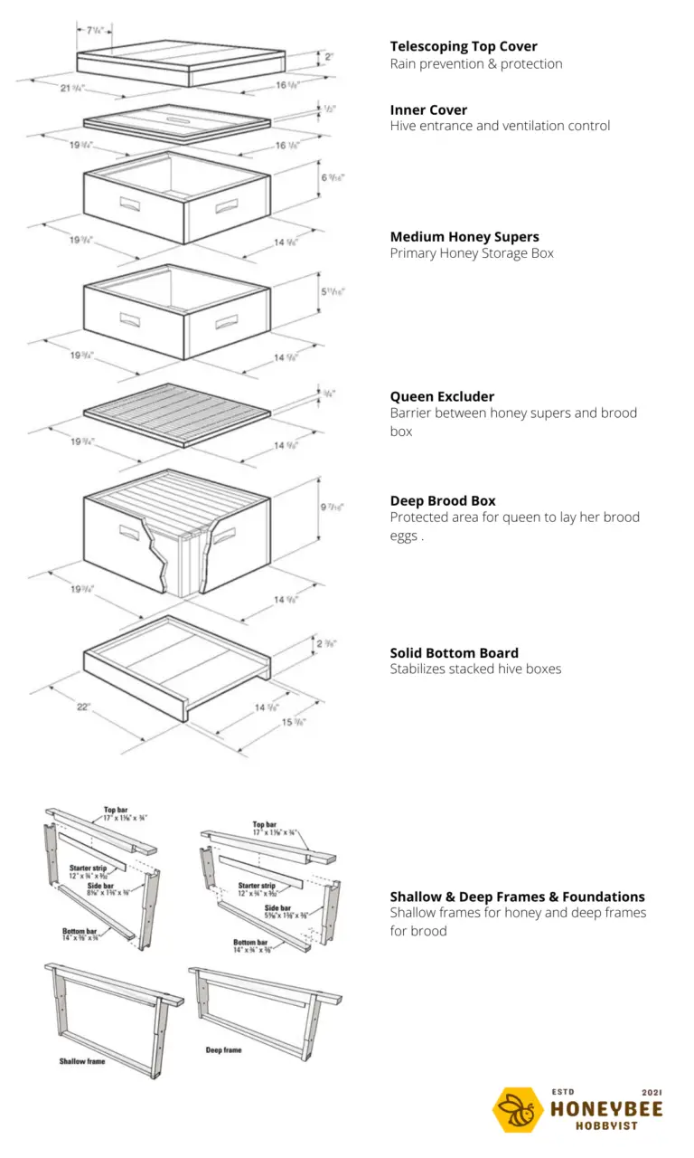 Langstroth Hive: History, Advantages, Disadvantages, and More