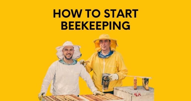 How To Start Beekeeping: Our Comprehensive Beginners Guide