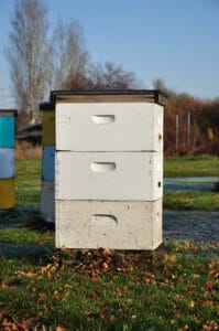 Langstroth Hive: History, Advantages, Disadvantages, and More