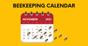 Beekeeping Calendar: Month By Month Guide