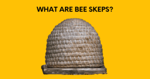 What Is A Bee Skep? Simple Guide To Bee Skeps
