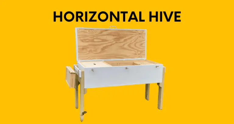 Horizontal Hive: History, Pros, Cons & More